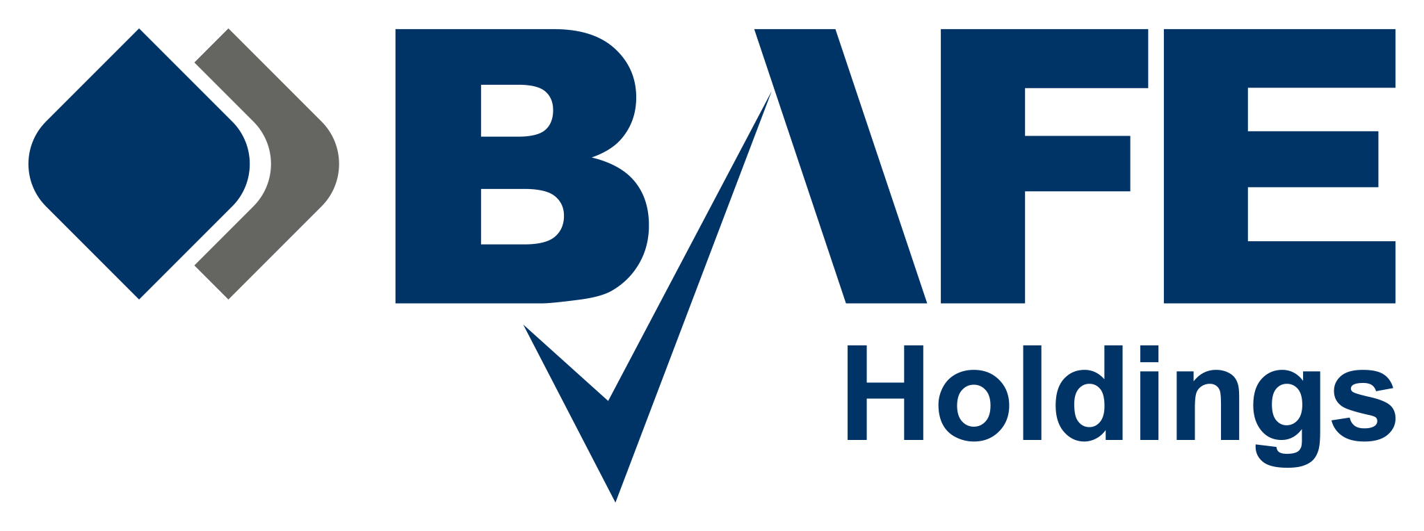 Companies - BAFE Holdings